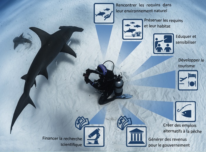 Salon de la plongee - /fr/animations/fiche-animations/1743/3076