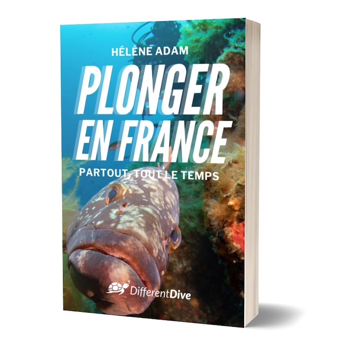 Salon de la plongee - /en/animations/animation-detail/1901/3418