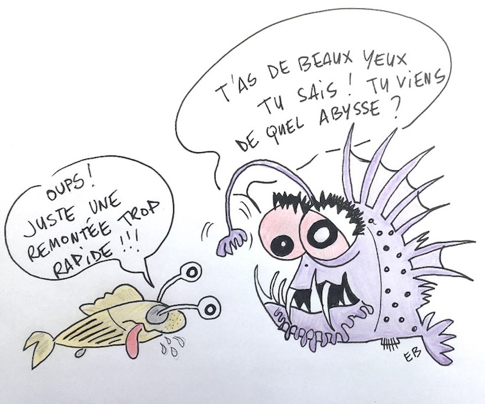 Salon de la plongee - /fr/animations/fiche-animations/1906/3429